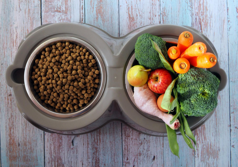 Kibble or Kitchen? Navigating the Homemade vs Commercial Diet Debate in ...